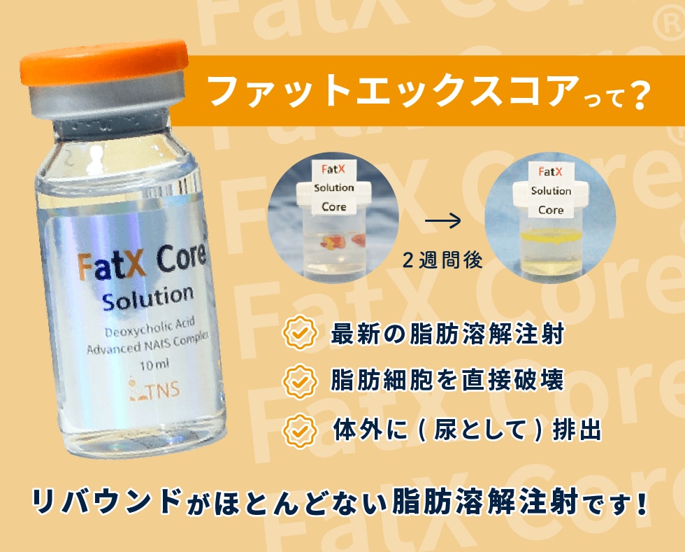 【話題😎の脂肪溶解注射】FatX Core💉が金沢院で取扱開始📣 - 金沢院